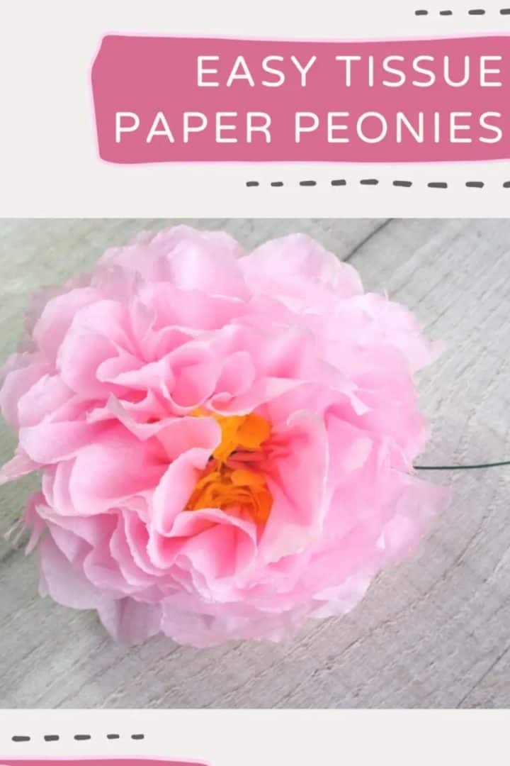 Paper Flowers | Easy Foldable Creations